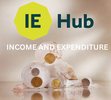 Merthyr Tydfil Borough Credit Union | IE Hub Budgeting